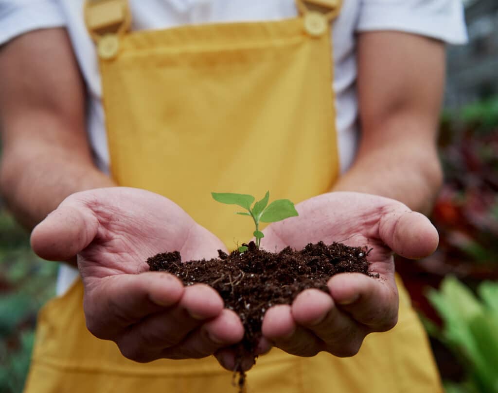 Profit for Purpose - Spark Financial Group